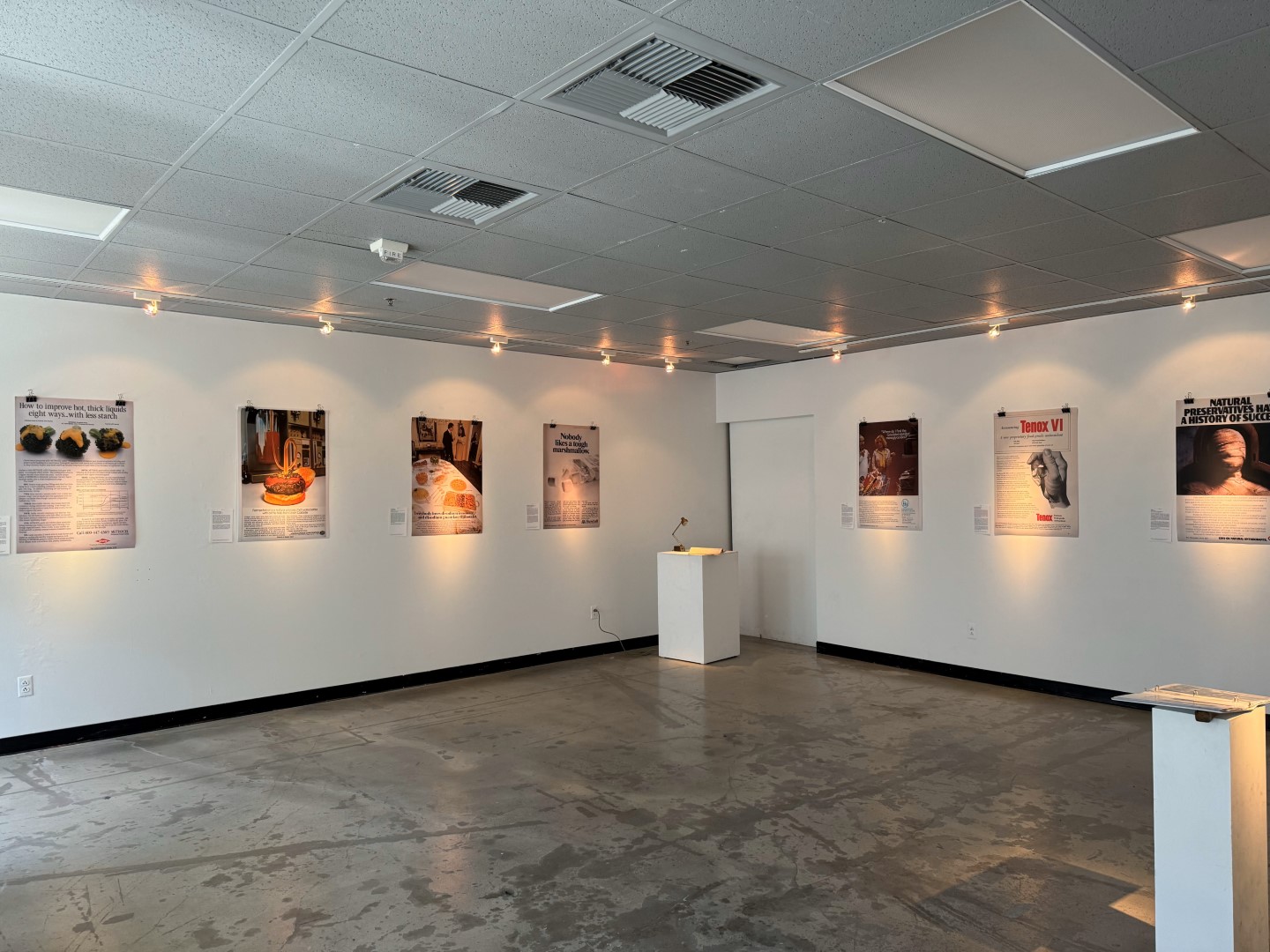 Spotlight | UCLA Art | Sci Center + Lab